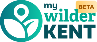 MyWilderKent